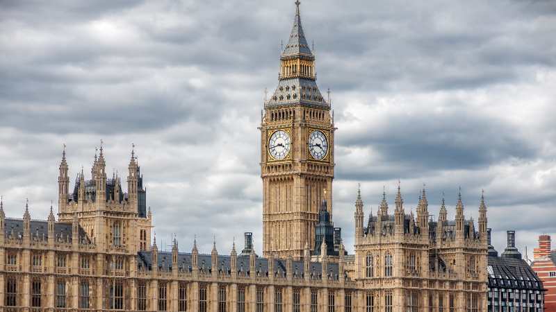 Fight for Sight award funding to MACS