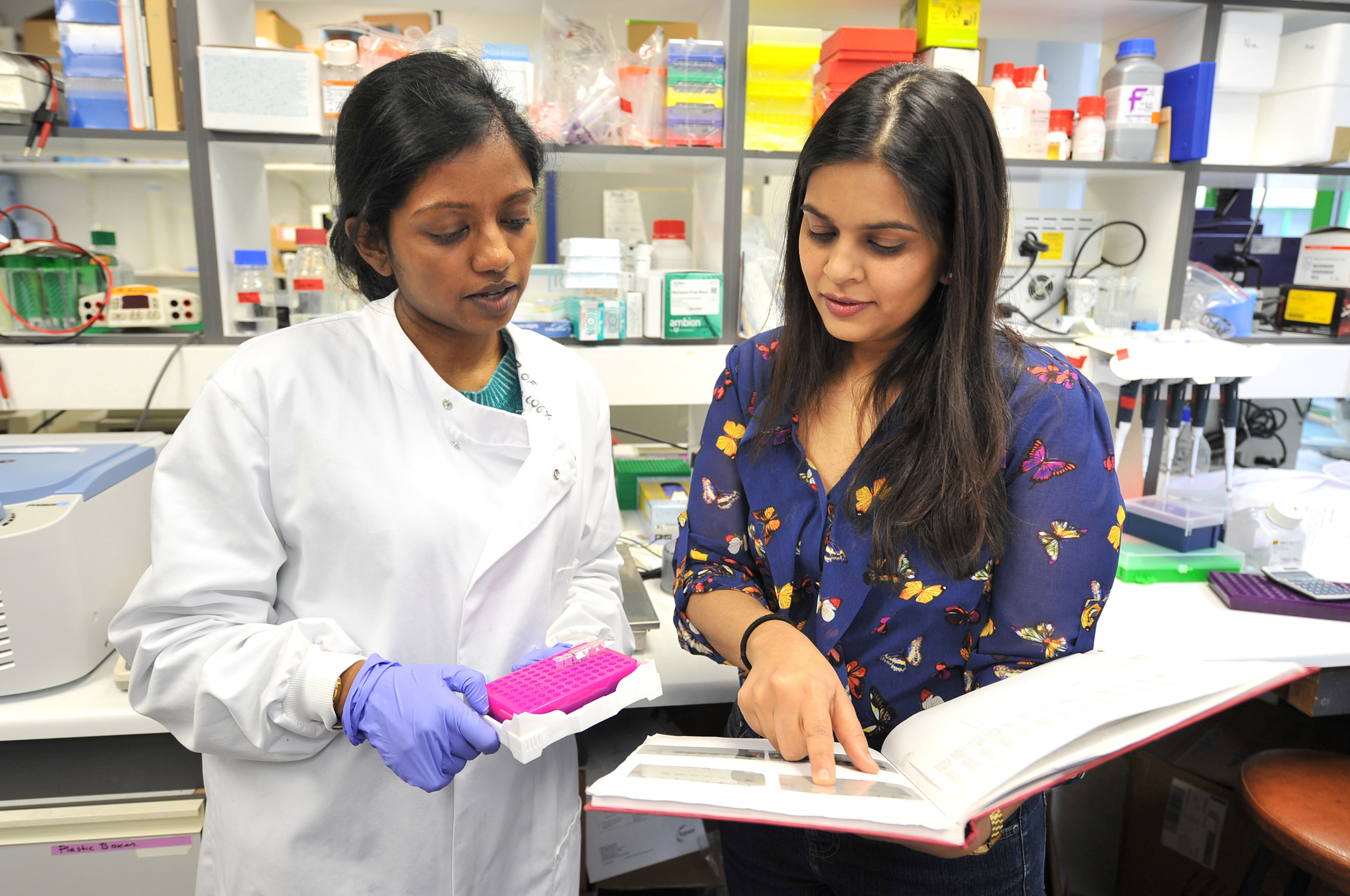 Fight for Sight award funding to MACS